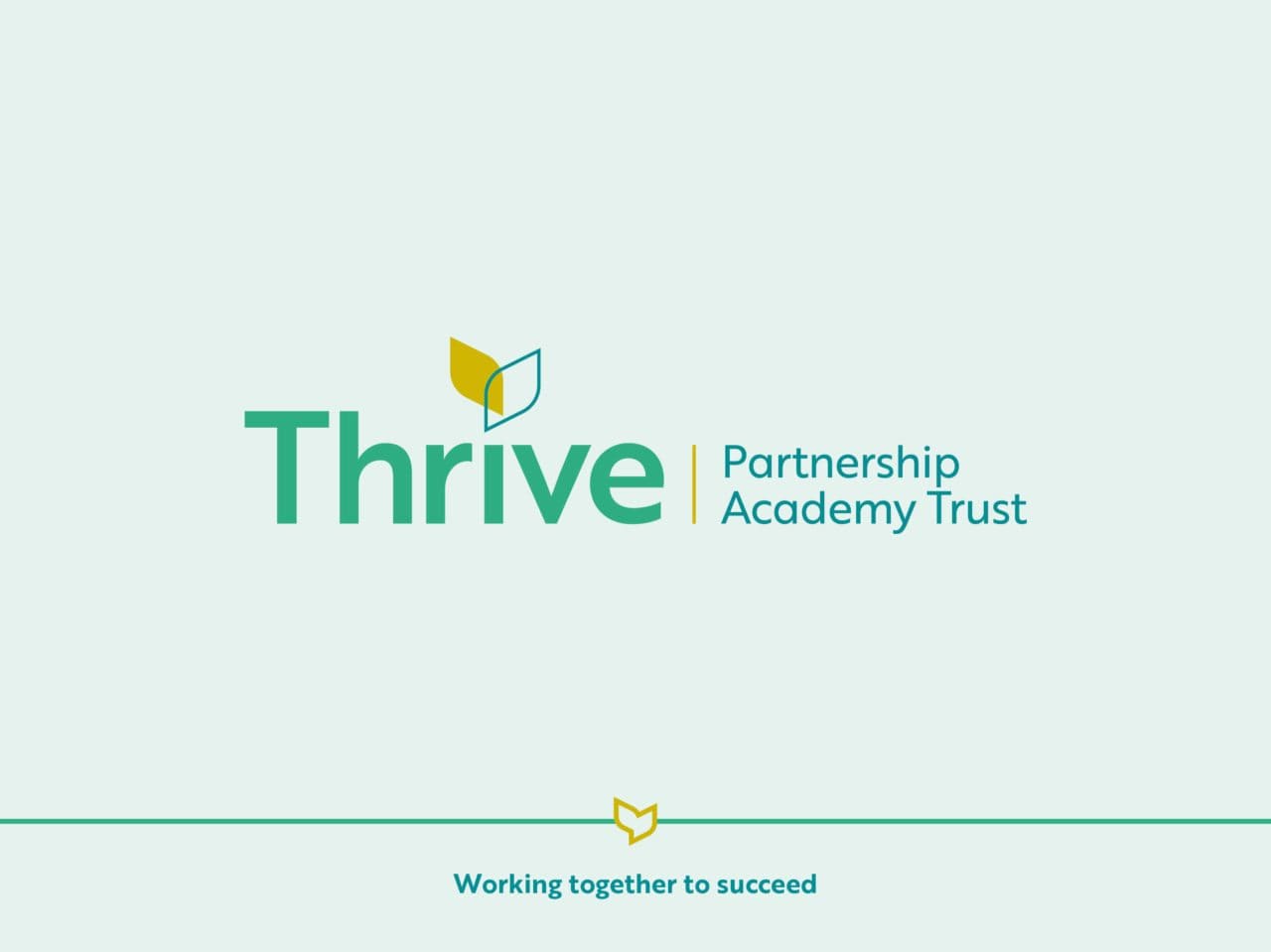 Mackman | Brand Identity Evolution & Refinement | Thrive